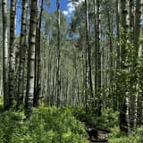 American Lake Trail, Colorado - 1,482 Reviews, Map | AllTrails