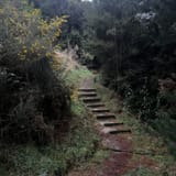 Harry Ell Walkway, Canterbury, New Zealand - 547 Reviews, Map | AllTrails