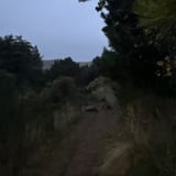 Harry Ell Walkway, Canterbury, New Zealand - 547 Reviews, Map | AllTrails