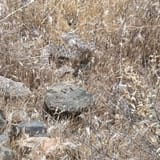 Thompson Peak via Dixie Mine Trail, Arizona - 888 Reviews, Map | AllTrails