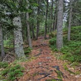 Blue Job Mountain Loop, New Hampshire - 2,248 Reviews, Map | AllTrails