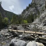 Heart Creek Trail, Alberta, Canada - 3,550 Reviews, Map | AllTrails