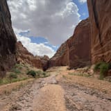 Wire Pass Trail, Utah - 3,097 Reviews, Map | AllTrails