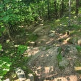 Blue Job Mountain Loop, New Hampshire - 2,209 Reviews, Map | AllTrails
