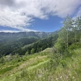 Coal Basin Trail, Colorado - 50 Reviews, Map | AllTrails