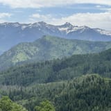 Coal Basin Trail, Colorado - 53 Reviews, Map | AllTrails