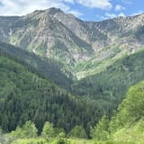 Coal Basin Trail, Colorado - 58 Reviews, Map | AllTrails