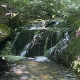 Boone Fork Trail, North Carolina - 3,393 Reviews, Map | AllTrails