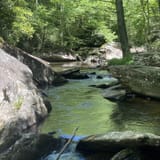 Boone Fork Trail, North Carolina - 3,393 Reviews, Map | AllTrails