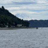 Five Mile Drive, Washington - 924 Reviews, Map | AllTrails