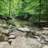 Nine Penny Branch Loop, Indiana - 632 Reviews, Map | AllTrails