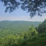Canyon Vista Trail, Pennsylvania - 893 Reviews, Map | AllTrails
