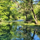 Blue Spring Trail, Missouri - 194 Reviews, Map | AllTrails