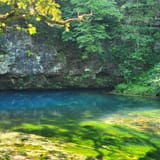 Blue Spring Trail, Missouri - 194 Reviews, Map | AllTrails