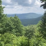 Red Spruce Knob, West Virginia - 234 Reviews, Map | AllTrails