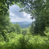 Red Spruce Knob, West Virginia - 234 Reviews, Map | AllTrails