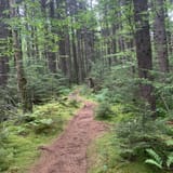 Red Spruce Knob, West Virginia - 234 Reviews, Map | AllTrails