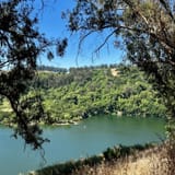 Lake Chabot Loop via West, Bass, Columbine, Honker, East Shore Trails ...