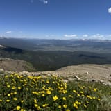 North Mount Elbert Trail, Colorado - 5,912 Reviews, Map | AllTrails