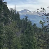 Twin Owls via Lumpy Ridge Loop, Colorado - 1,431 Reviews, Map | AllTrails