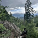 Twin Owls via Lumpy Ridge Loop, Colorado - 1,431 Reviews, Map | AllTrails