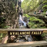 The Flume Gorge Trail, New Hampshire - 4,494 Reviews, Map | AllTrails