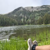 Middle Fork Lake Trail, New Mexico - 945 Reviews, Map | AllTrails