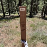 Walker Ranch Loop, Colorado - 4,858 Reviews, Map | AllTrails