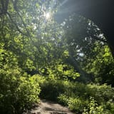 Discovery Park and Lighthouse Loop, Washington - 6,702 Reviews, Map ...