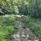Seneca Creek Trail, West Virginia - 331 Reviews, Map | AllTrails