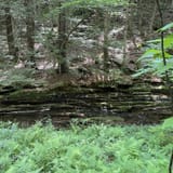 Seneca Creek Trail, West Virginia - 331 Reviews, Map | AllTrails