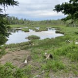 Salt Marsh Trail, Nova Scotia, Canada - 829 Reviews, Map | AllTrails