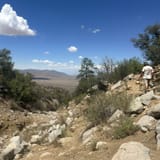 Pine Tree Trail, New Mexico - 2,246 Reviews, Map | AllTrails