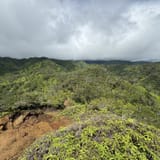 Mānana Ridge Trail, Oahu, Hawaii - 1,000 Reviews, Map | AllTrails