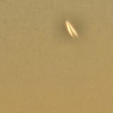 Cholla Cactus Garden, California - 2,337 Reviews, Map | AllTrails