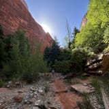 Middle Fork Taylor Creek Trail, Utah - 3,498 Reviews, Map | AllTrails