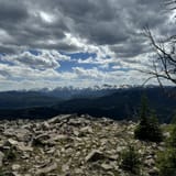 Cinnamon Mountain Trail, Montana - 231 Reviews, Map | AllTrails