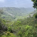 Waimano Falls Trail, Oahu, Hawaii - 5,172 Reviews, Map | AllTrails