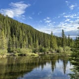 Mount Lorette Pond Trail, Alberta, Canada - 240 Reviews, Map | AllTrails