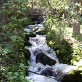 Silver Run Loop Trail, Montana - 546 Reviews, Map | AllTrails