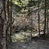 Hunter Creek Trail, Nevada - 4,697 Reviews, Map | AllTrails