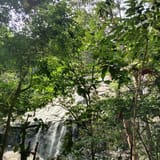 Lata Gapi Waterfall, Selangor, Malaysia - 262 Reviews, Map | AllTrails