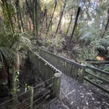 Puhinui Stream Forest Trail, Auckland, New Zealand - 551 Reviews, Map ...