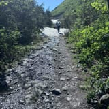 Portage Pass Trail, Alaska - 1,977 Reviews, Map | AllTrails
