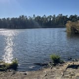 Modderfontein Dam Trail, Gauteng, South Africa - 372 Reviews, Map ...