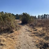 Modderfontein Dam Trail, Gauteng, South Africa - 372 Reviews, Map ...