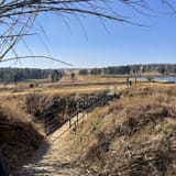 Modderfontein Dam Trail, Gauteng, South Africa - 372 Reviews, Map ...