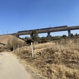 Modderfontein Dam Trail, Gauteng, South Africa - 372 Reviews, Map ...