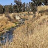 Modderfontein Dam Trail, Gauteng, South Africa - 372 Reviews, Map ...