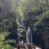 Scale Force Waterfall, Cumbria, England - 301 Reviews, Map | AllTrails